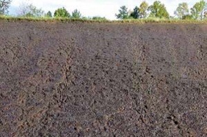 Hydroseeding | Cropcare